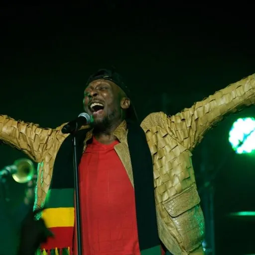 The Lion Awakes - Jimmy Cliff - Recifra