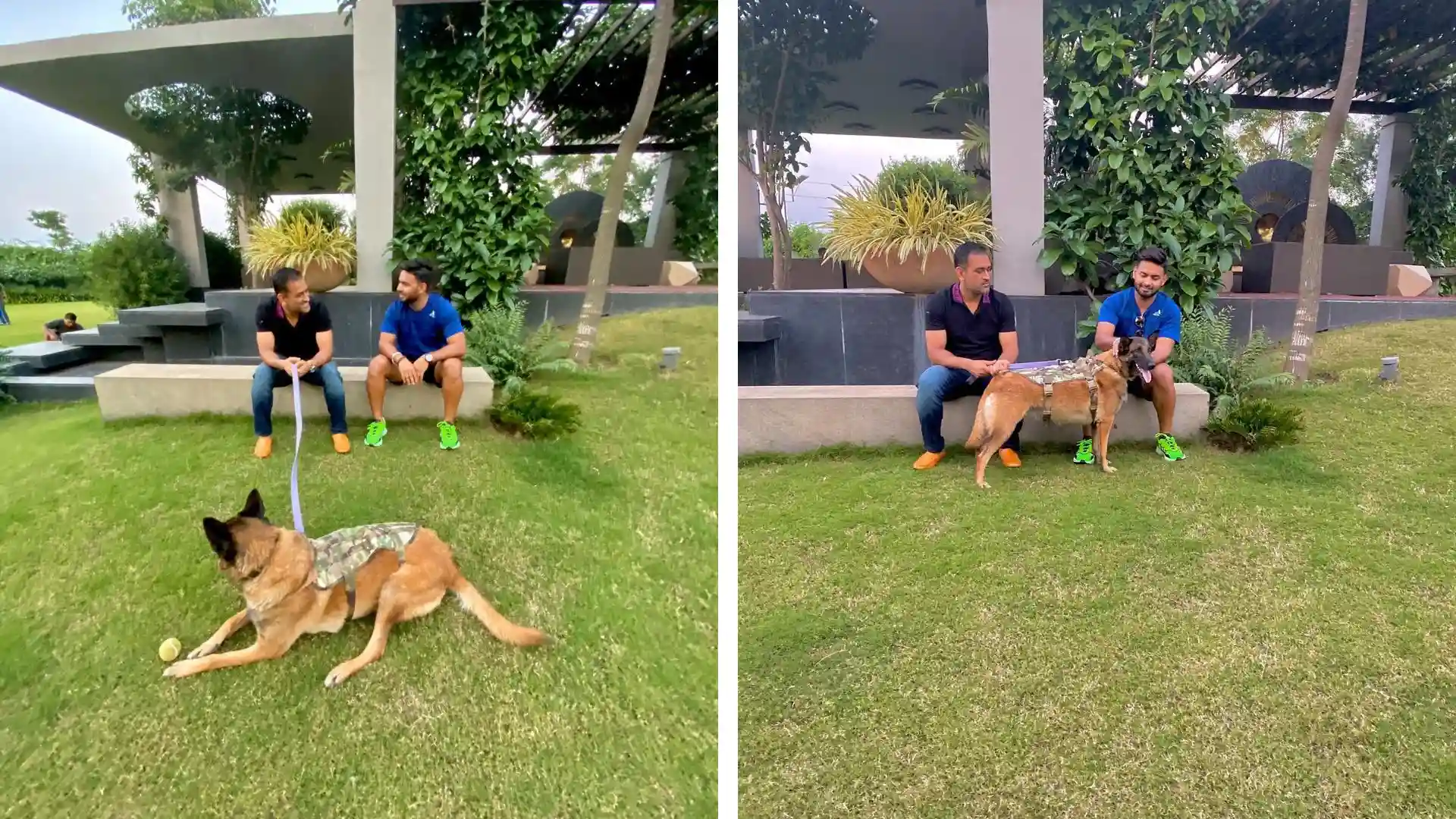 Dhoni Farmhouse: Explore The Private Paradise Like Never Before