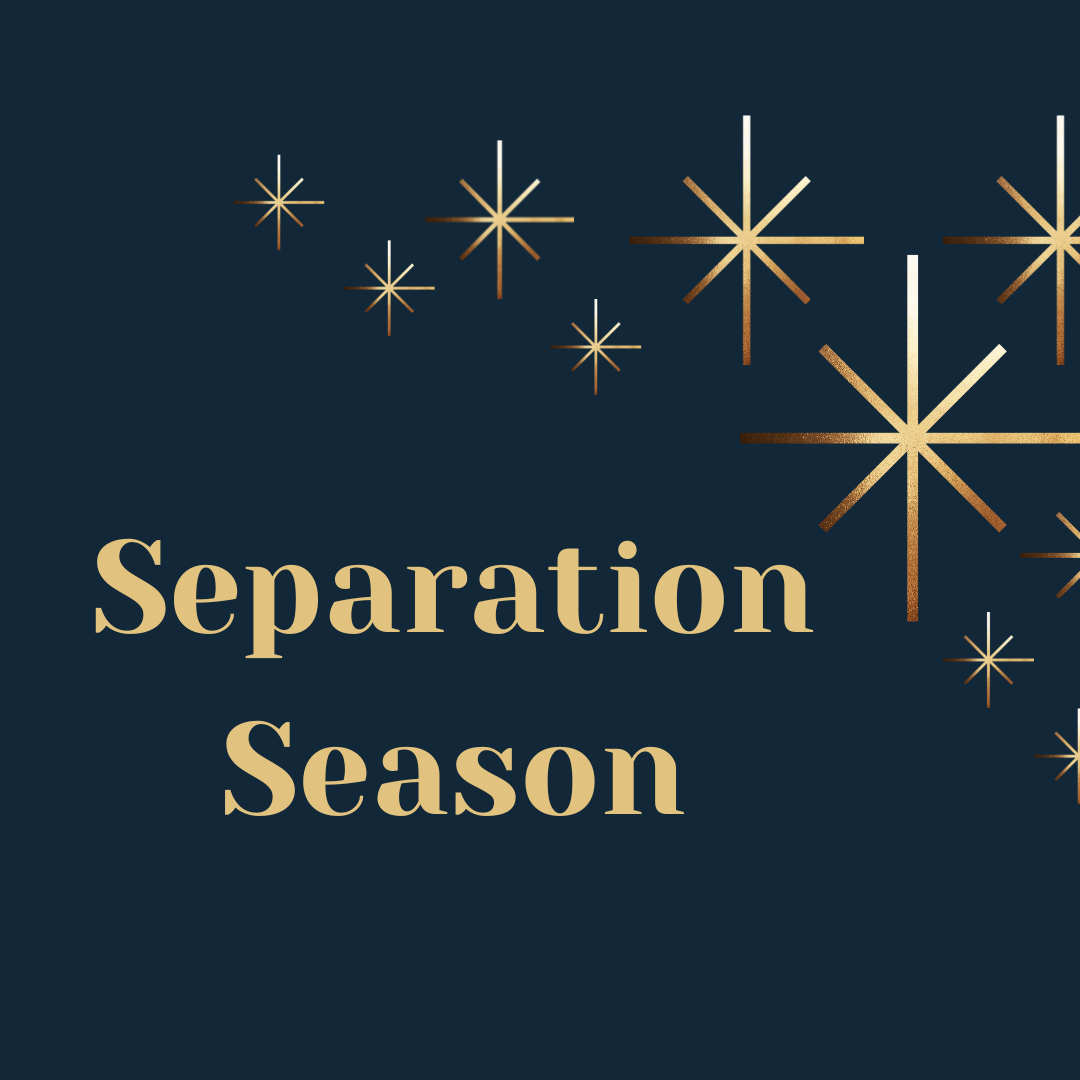 🚀 Fuel Your Success This Year-End: The Art of Separation Season! | Refer.io