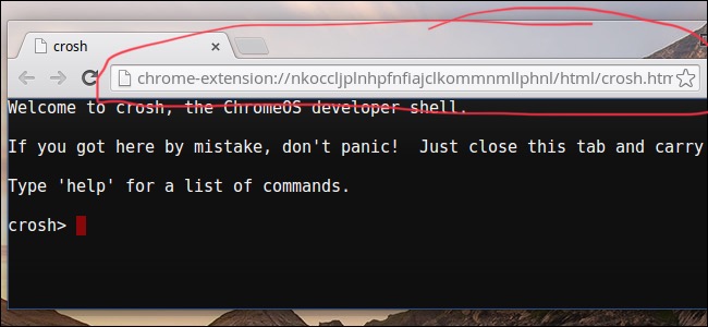 How To Open Shell On Chrome Replit
