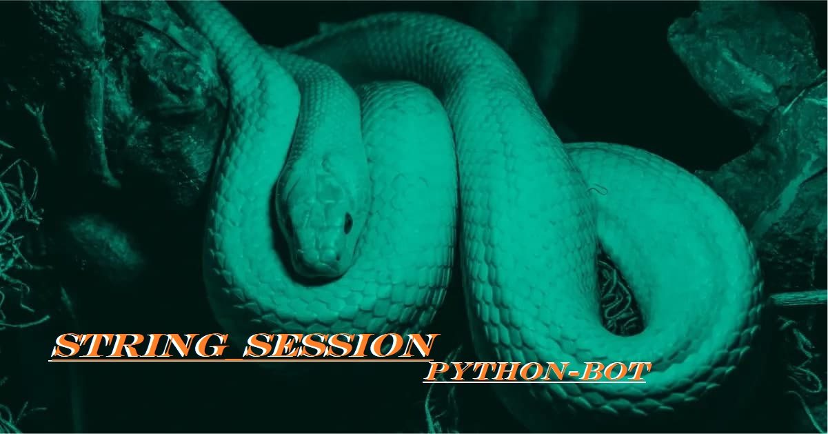 PYTHON_BOT-4 - Replit