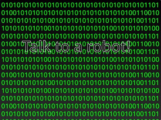 talk to a robot! - Replit
