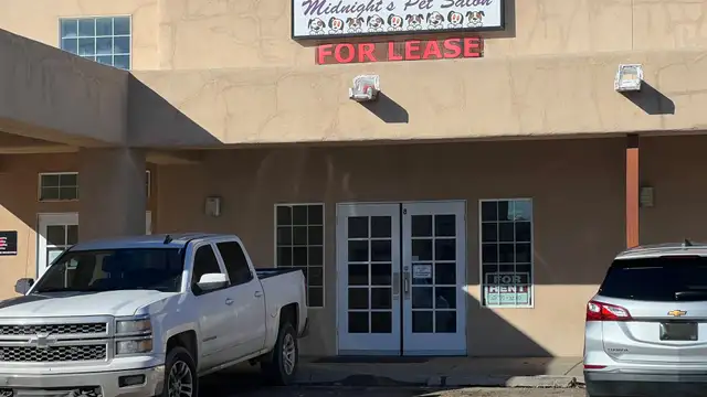 REA Real Estate Advisors - Associate