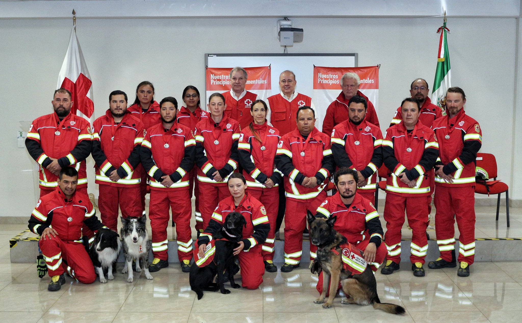 Con porras y aplausos, los perritos rescatistas 'July' y 'Rex' arriban ...