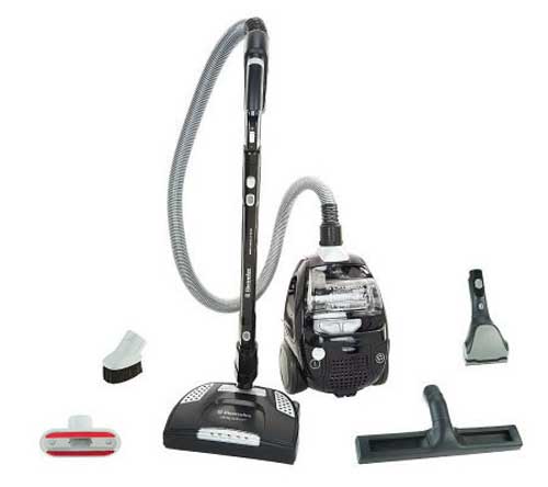 Electrolux Ultra Active Deep Clean Canister Vacuum Black/Purple | Jender