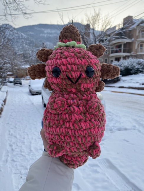 kate's make photo for Chunky axolotl