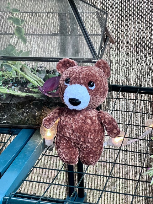 NanaJanice's make photo for Alex the Teddy Bear