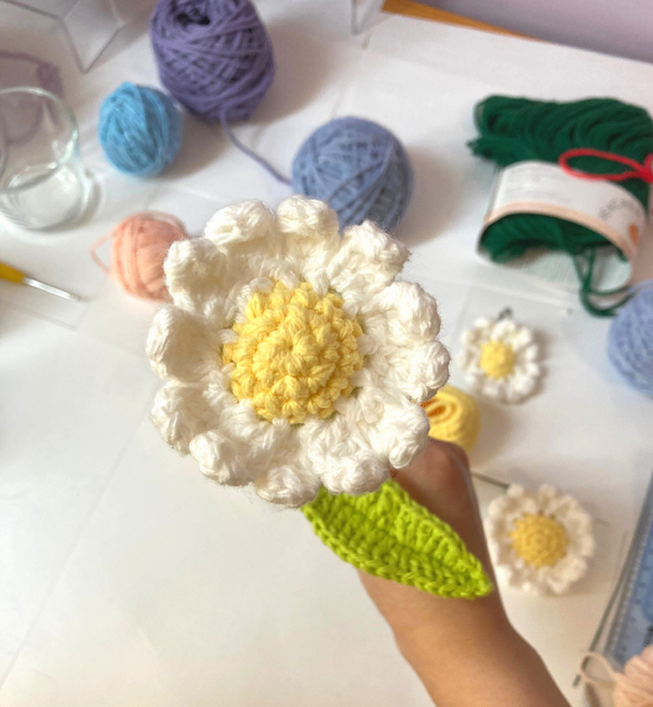 Daisy Flower: Crochet pattern | Ribblr
