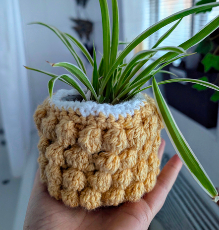 Bobble Plant Basket: Crochet pattern | Ribblr