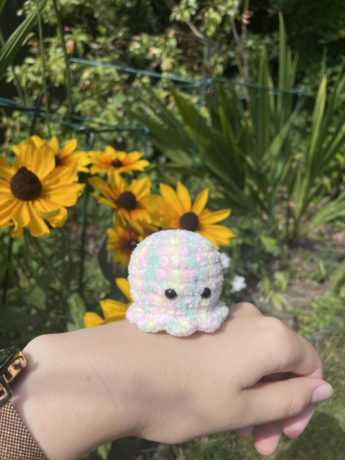 Small Crochet Octopus: Crochet pattern | Ribblr