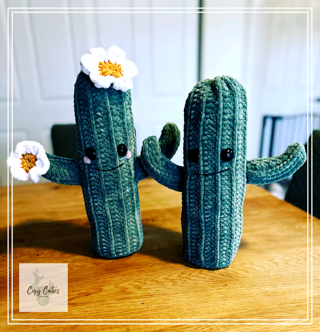 Mr And Mrs Prickles 2 in 1: Crochet pattern | Ribblr