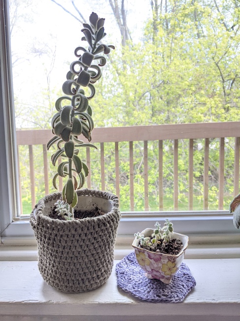 Hemp Planter: Crochet pattern | Ribblr