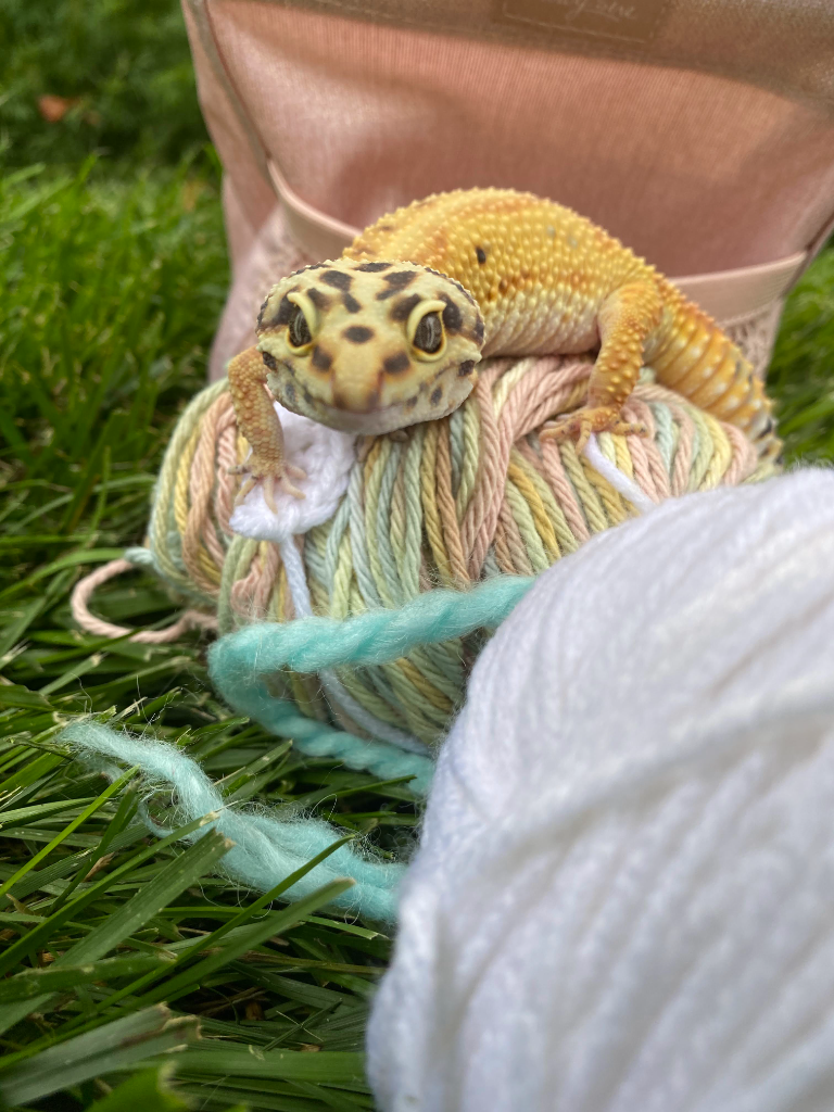 Unique patterns | PeachynFawnFiberco | Ribblr