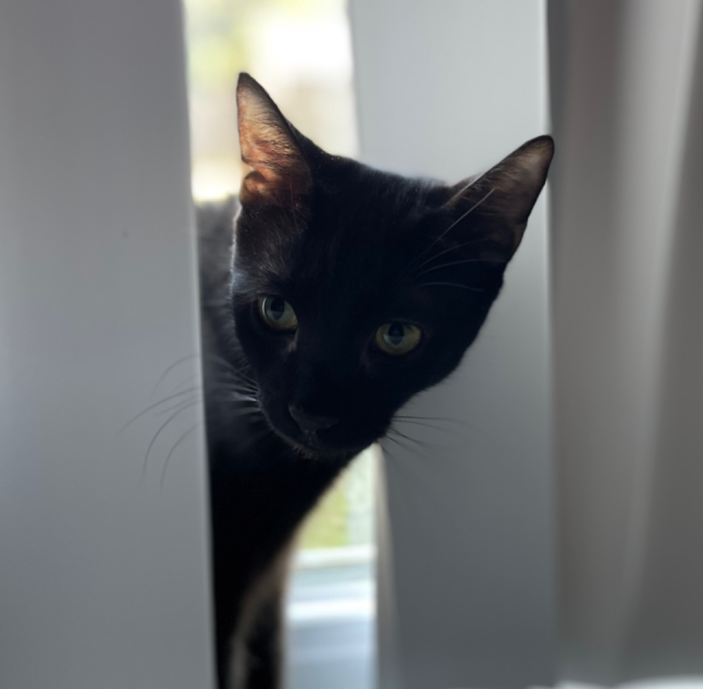 Unique patterns | Throwing Happy | Ribblr