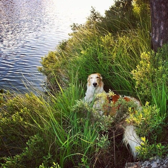 Unique patterns | romakes | Ribblr