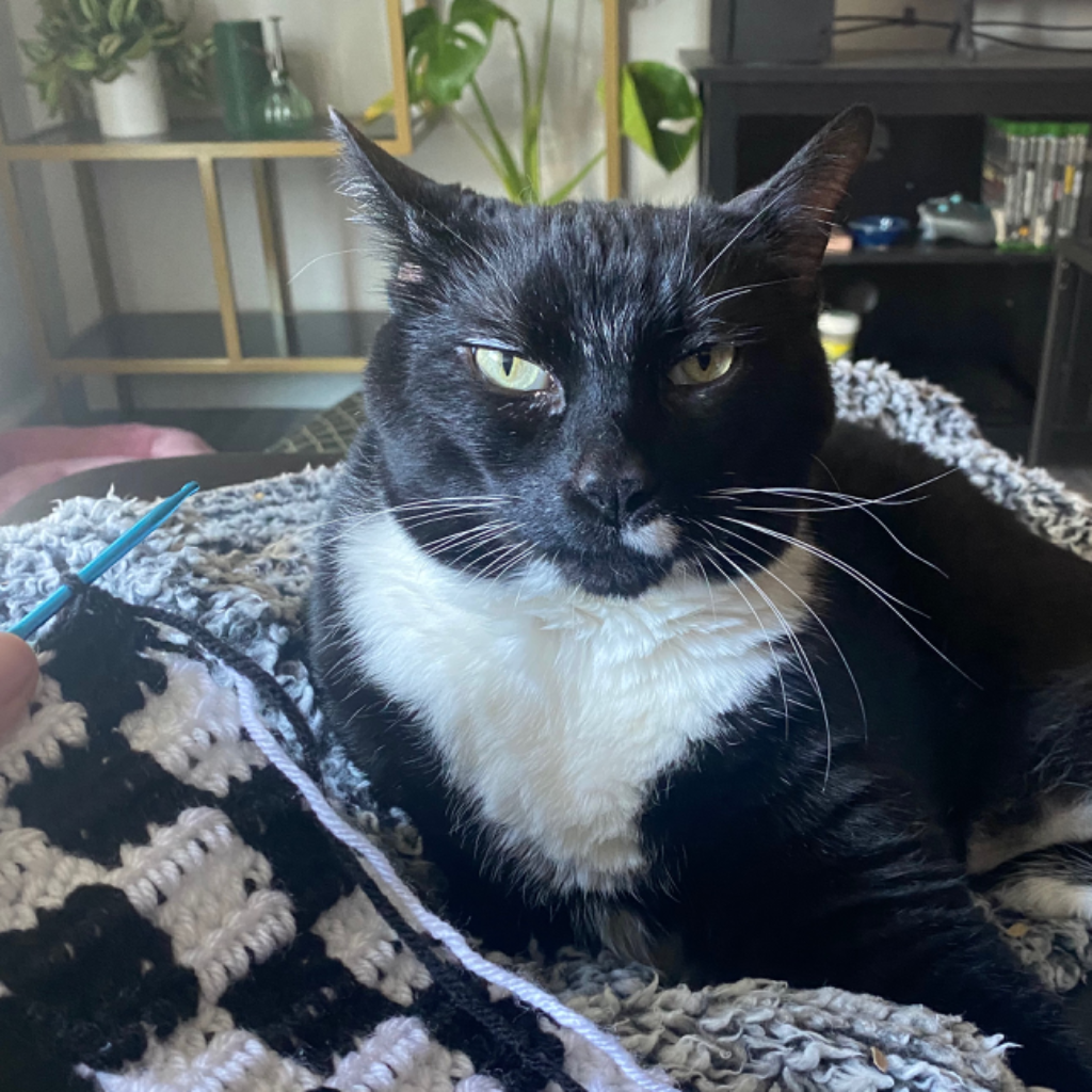 Unique patterns | Crochetsandcats | Ribblr