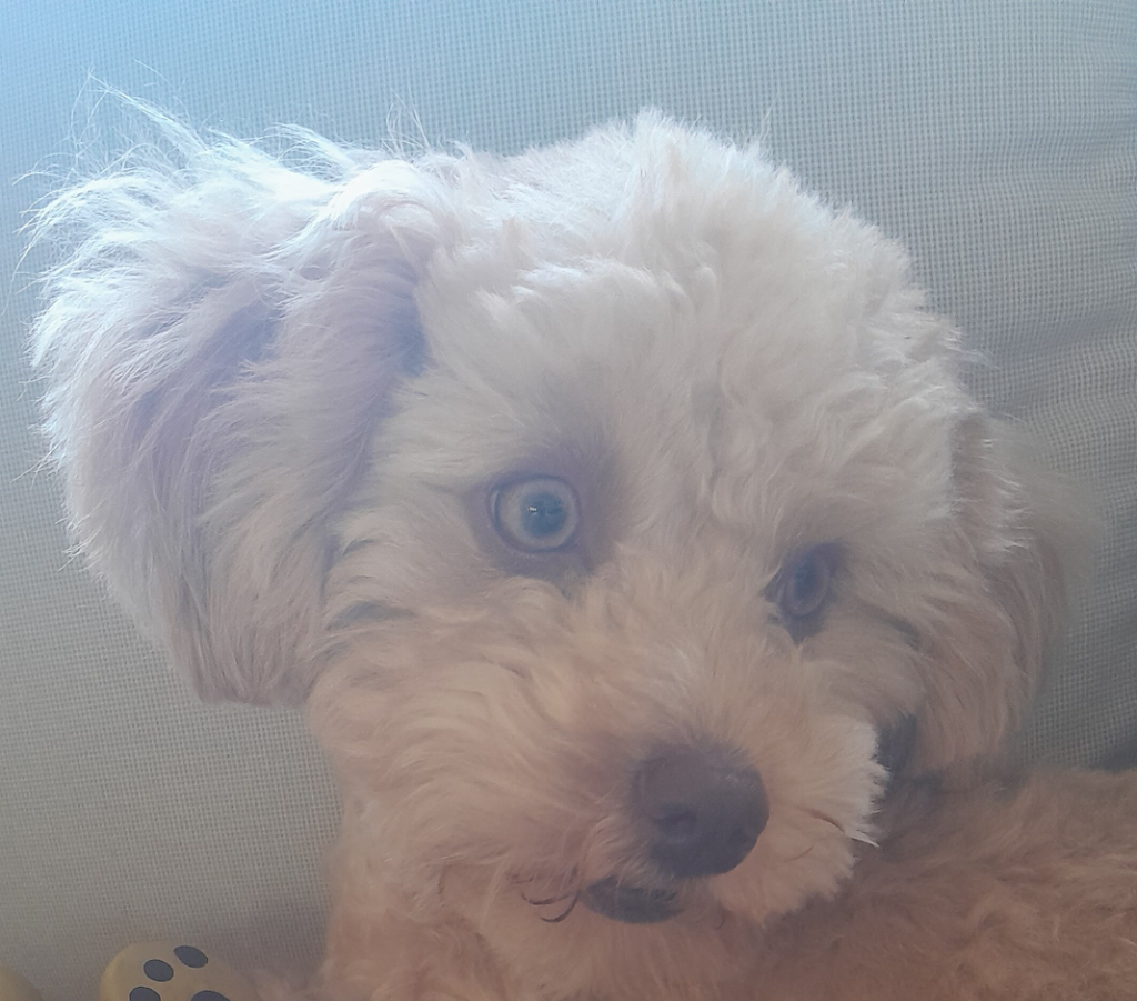 Unique patterns | Elliot | Ribblr