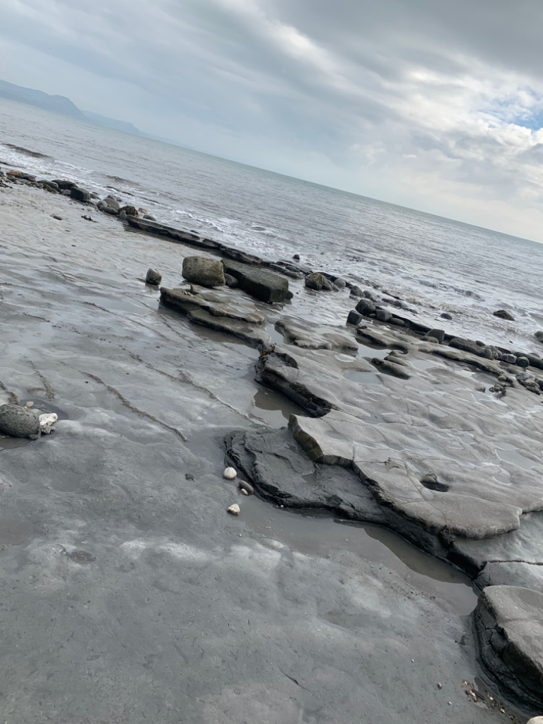 Unique patterns | Bea designs | Ribblr