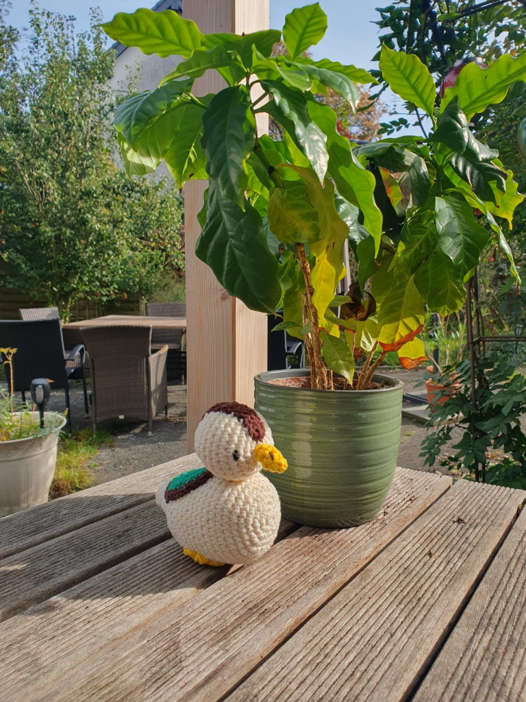 Unique patterns | MayCre8s | Ribblr