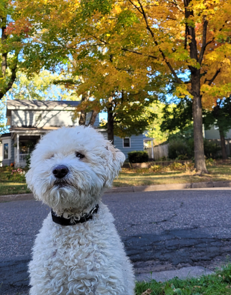 Unique patterns | CrochetCr8tions | Ribblr