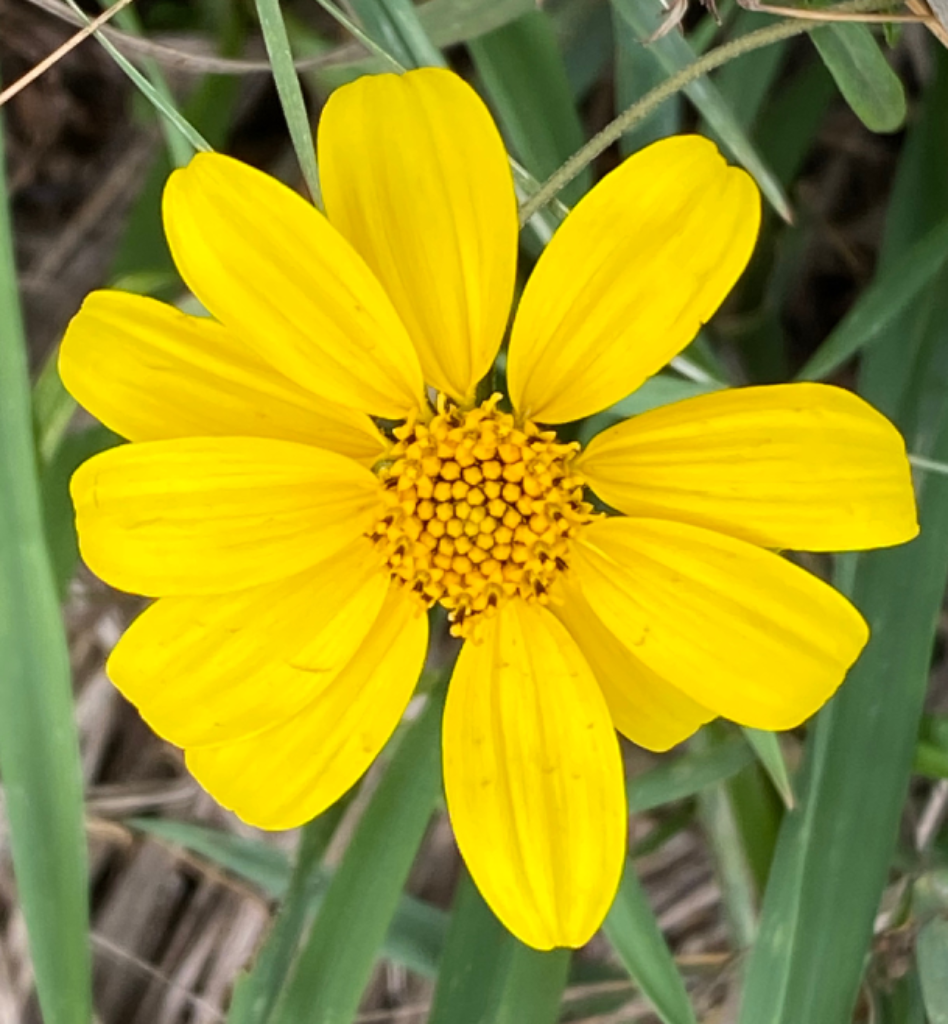 Unique patterns | Little Fluff Craft | Ribblr