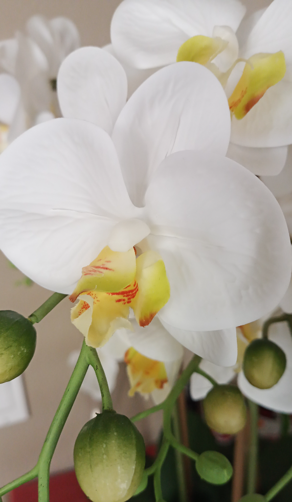 Unique patterns | The Magic Loops | Ribblr