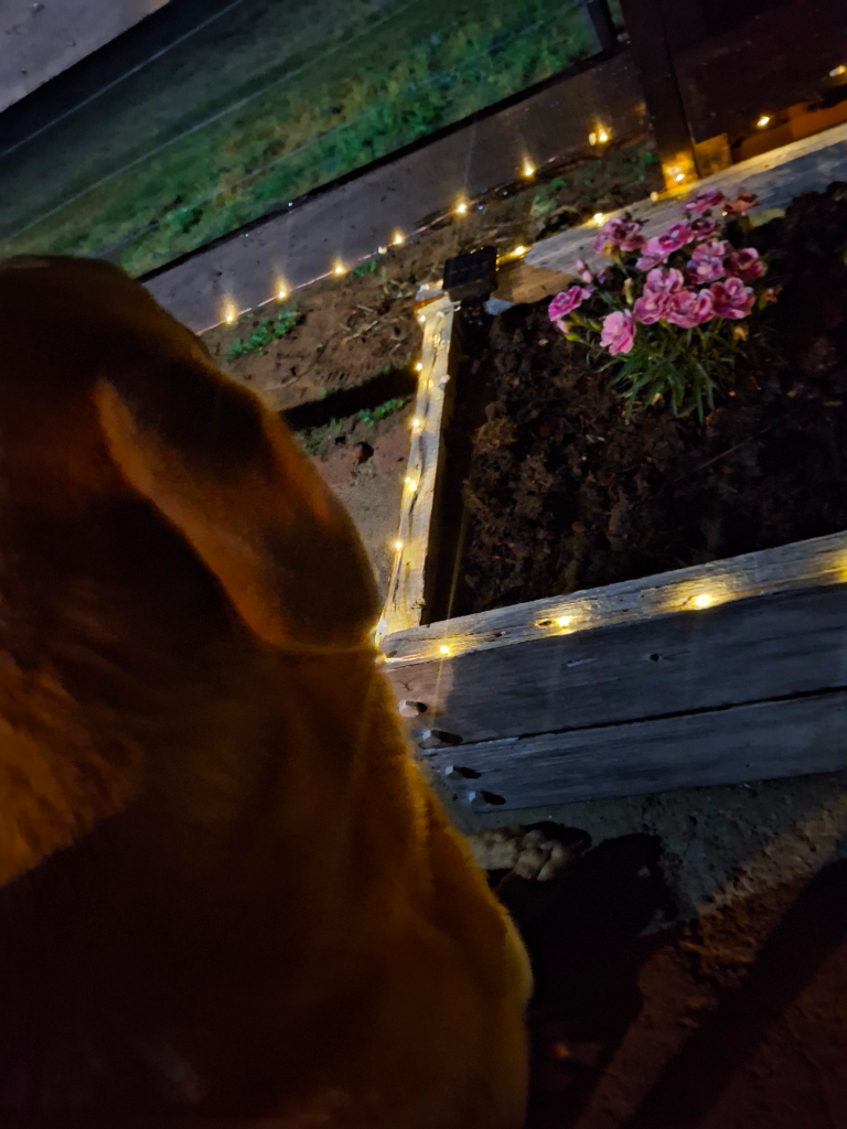 Unique patterns | Equinepatterns | Ribblr