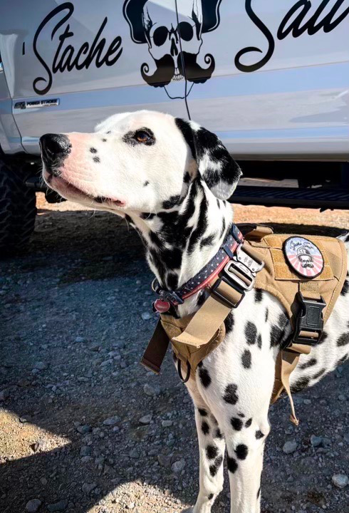 Unique patterns | Faith crochet | Ribblr