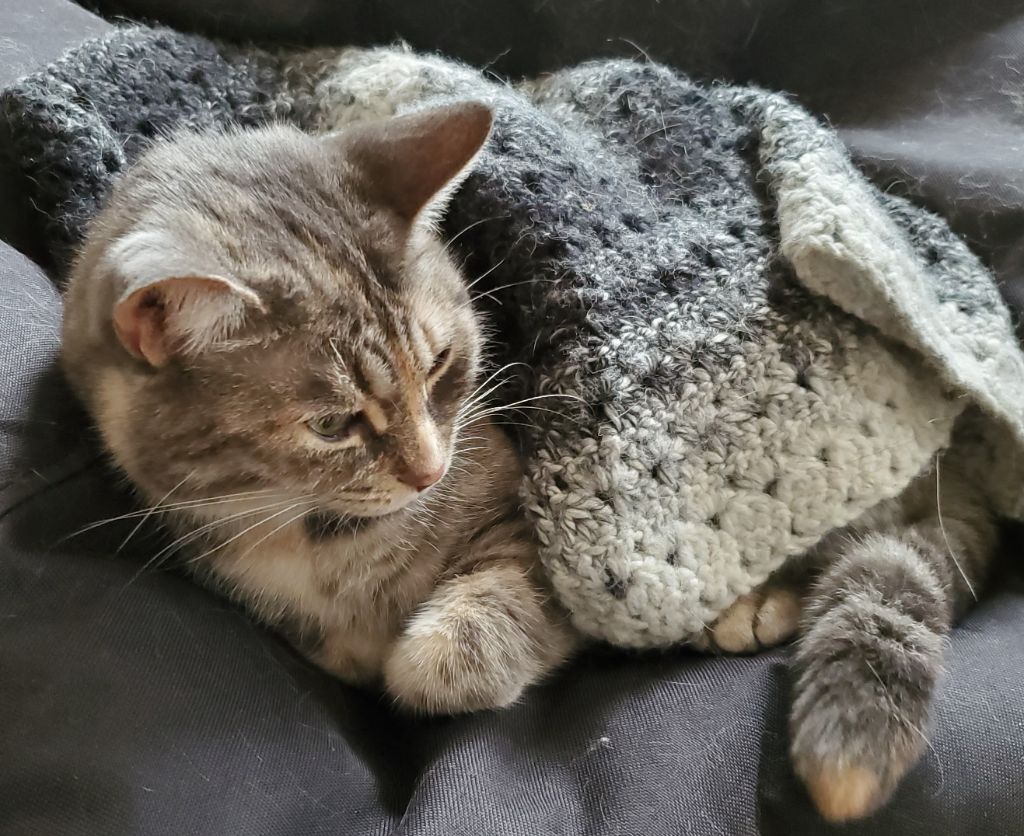 Unique patterns | Crochet and Cats | Ribblr