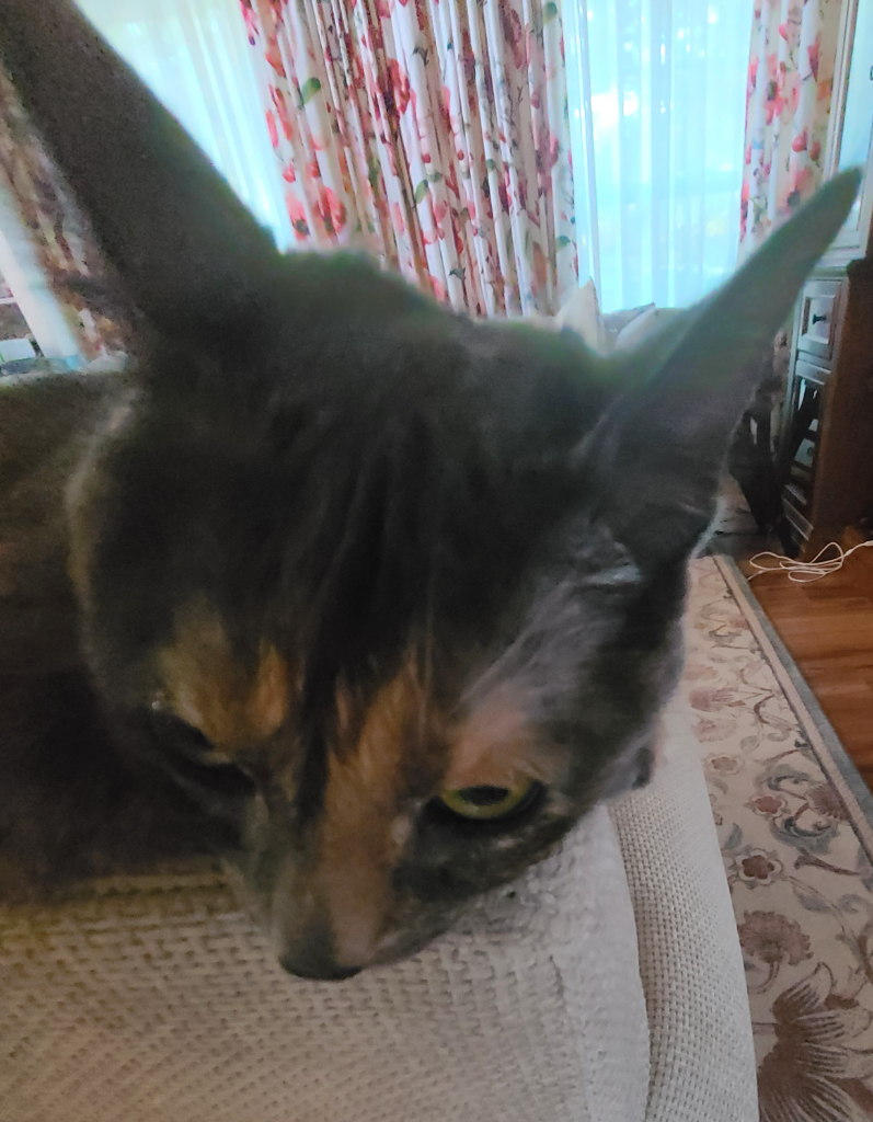 Unique patterns | Sophiasticated | Ribblr