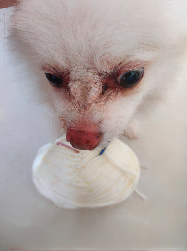 Unique patterns | tinyshirodesigns | Ribblr