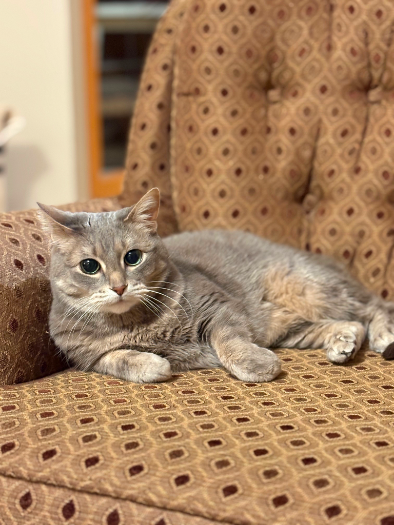 Unique patterns | Hopeful Arts | Ribblr