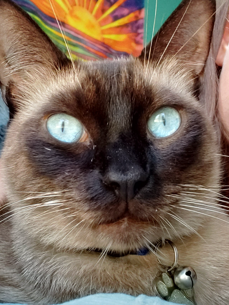 Unique patterns | Si Crochet | Ribblr