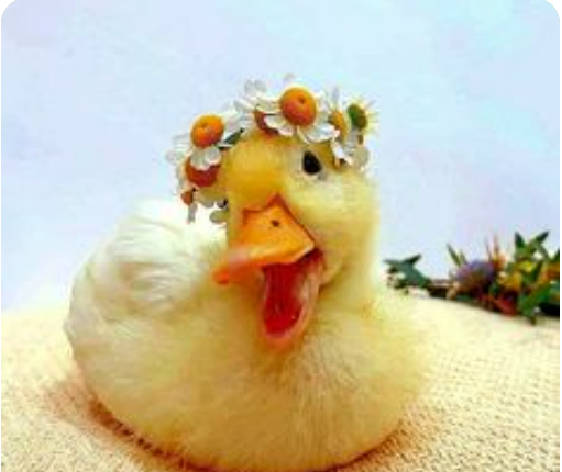 Unique patterns | Maras Crochet Shop | Ribblr