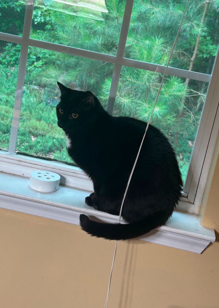 Unique patterns | CaveofJasper | Ribblr