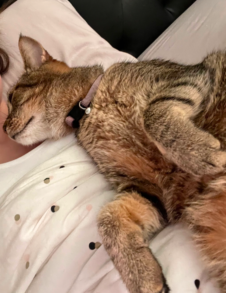 Unique patterns | AllDay Crochet | Ribblr