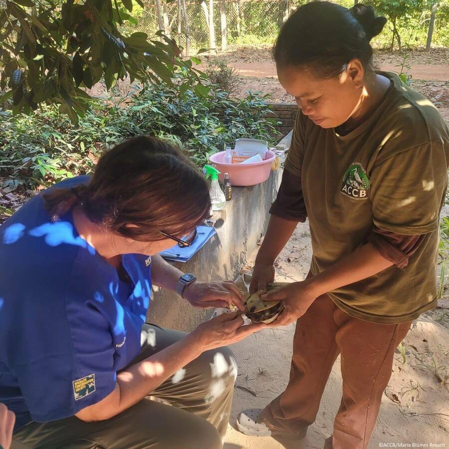 ទំព័រដើម | អគ្គនាយកដ្ឋានវិទ្យុជាតិ