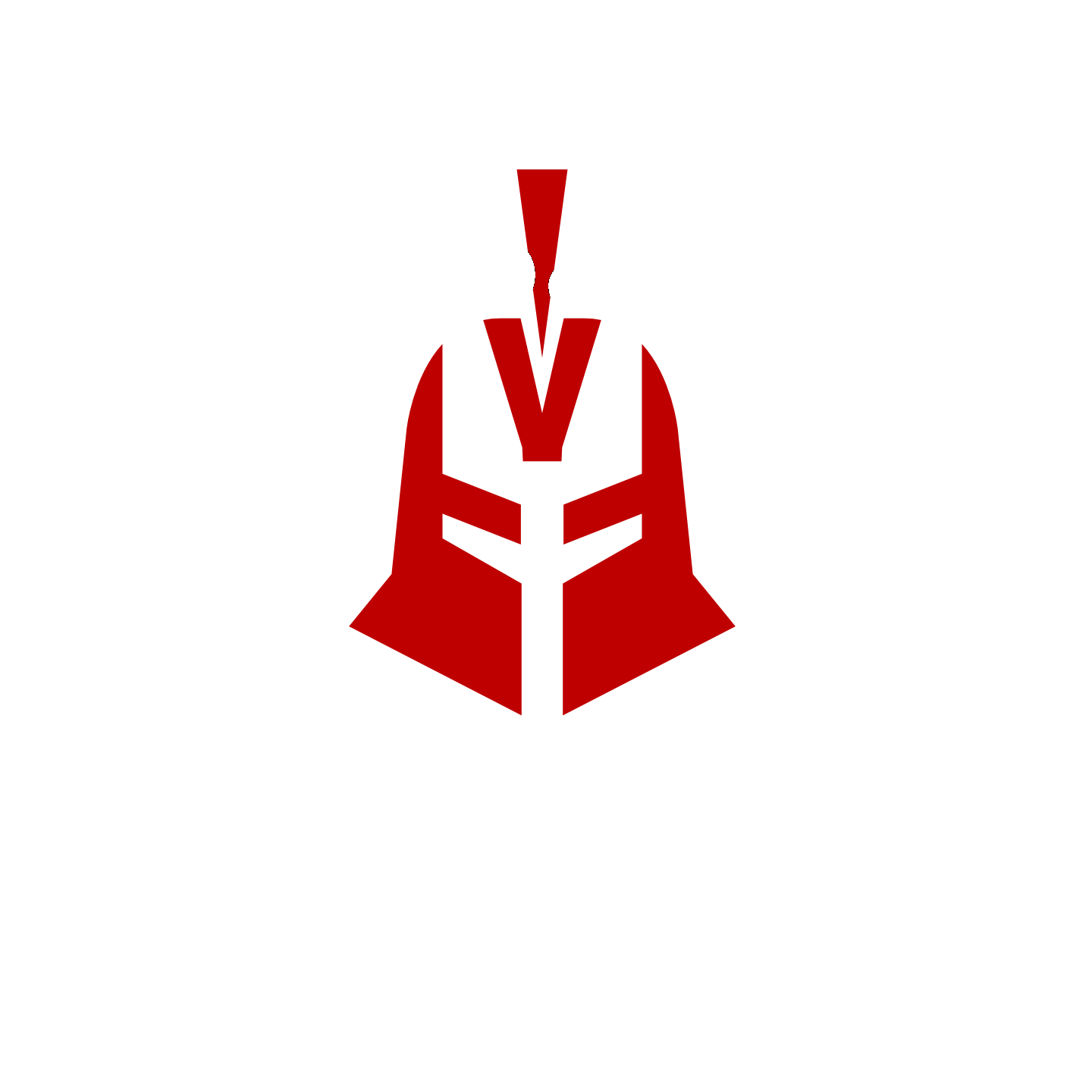 Road Knights - Your Professional Trucking & Logistics Company