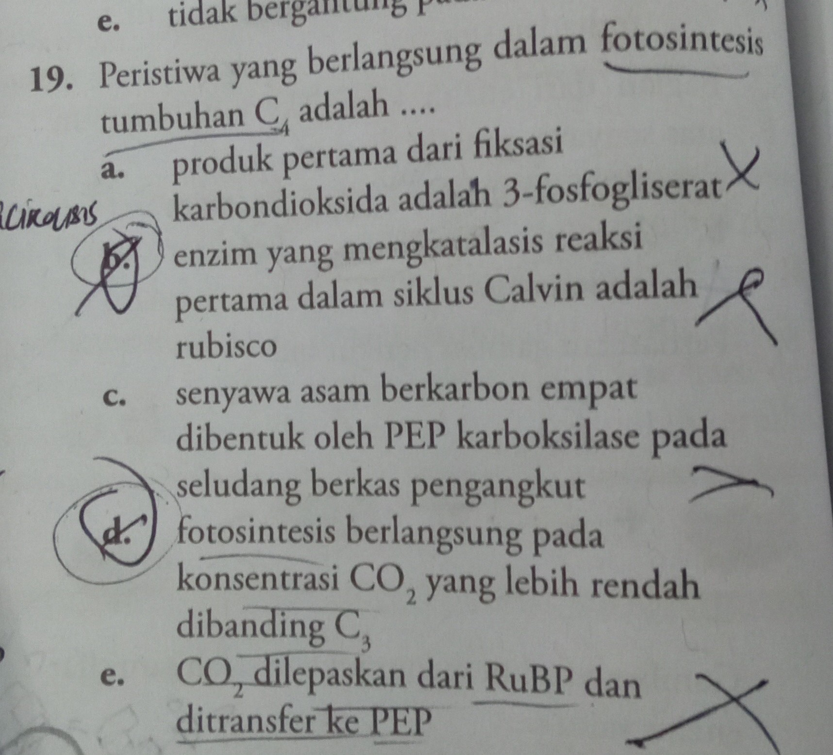 Kak tolong bantuannya nomor 19 antara pilihannya B... Kak tolong bantuannya nomor 19 antara pilihannya B...