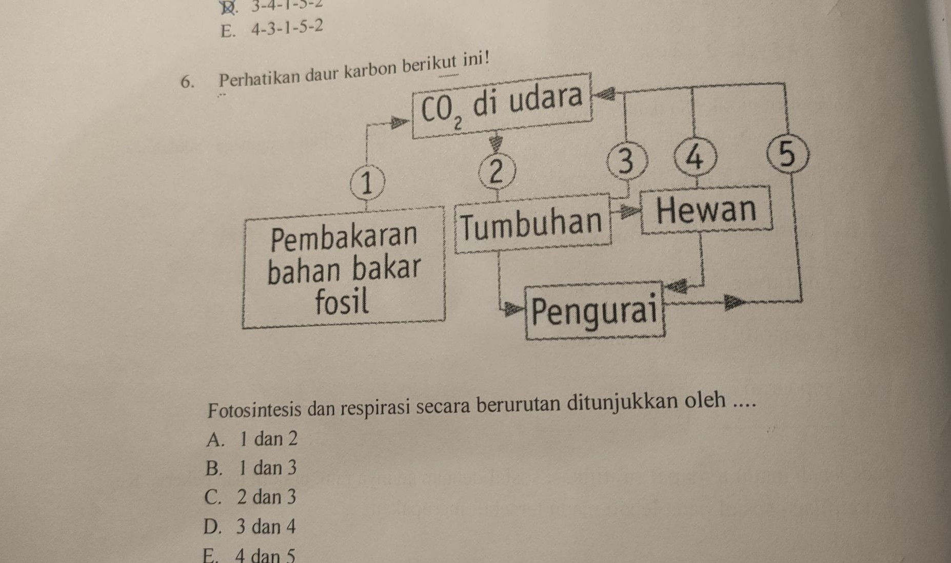 Apa jawabannya kak... Apa jawabannya kak...