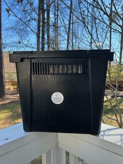 Piedmont Wholesale Flowers | Rooted Farmers