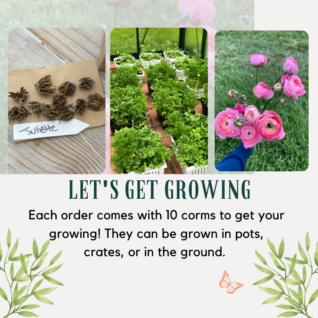 Eden Roots Flower Farm | Rooted Farmers