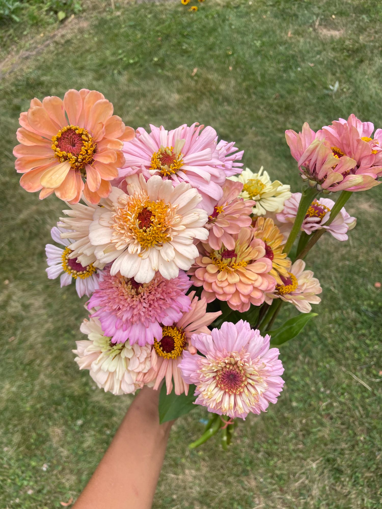 Shelly Girl Farms | Rooted Farmers