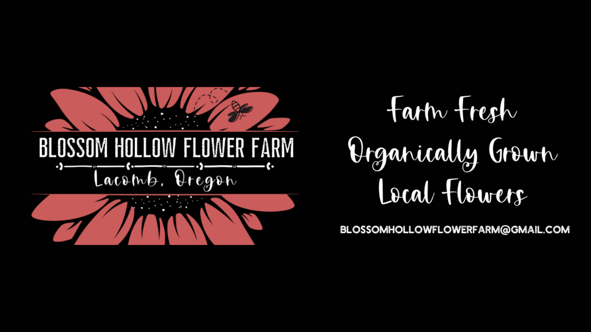 Blossom Hollow Flower Farm LLC | Rooted Farmers