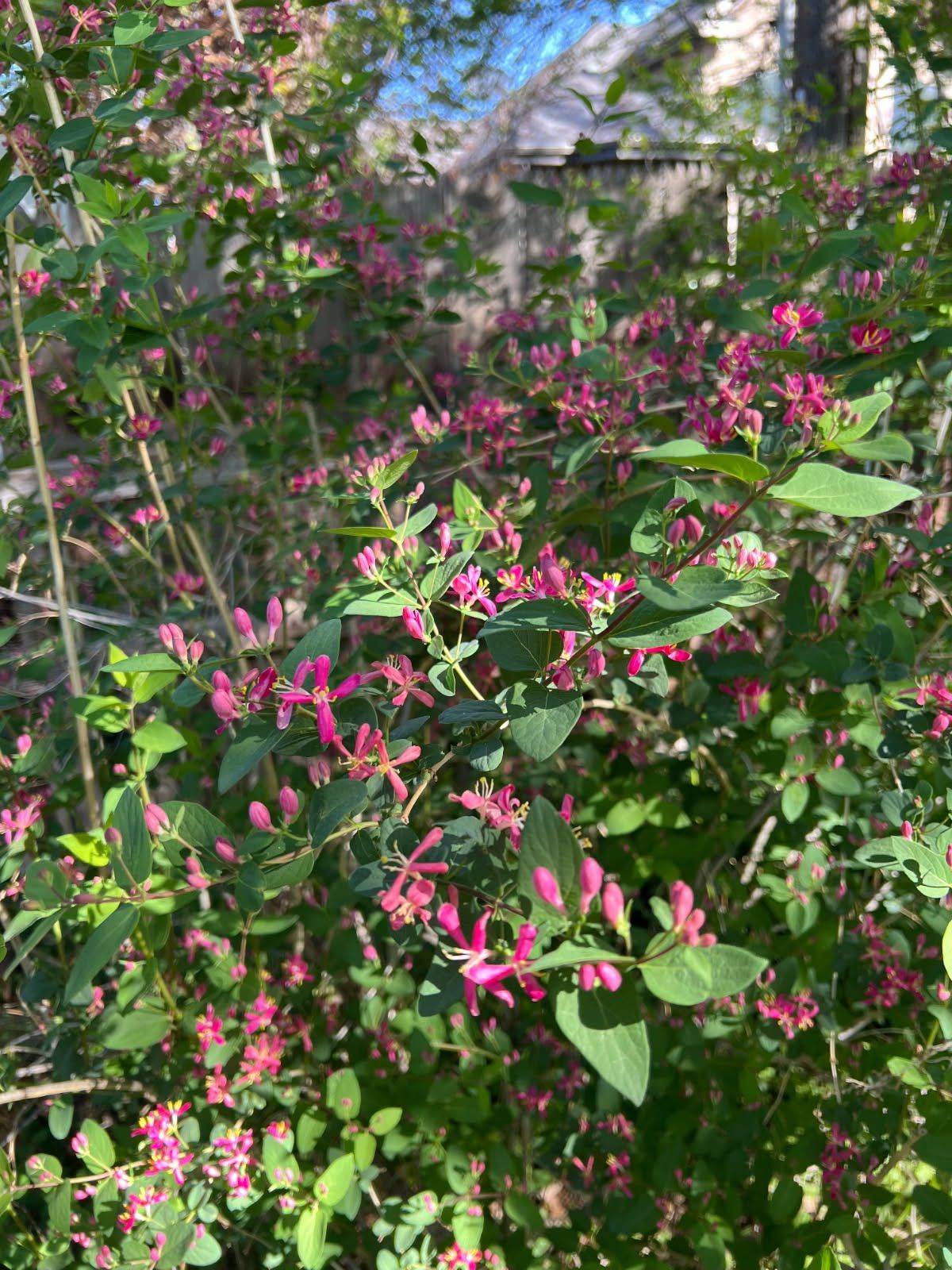 Utah Flower Market | Rooted Farmers