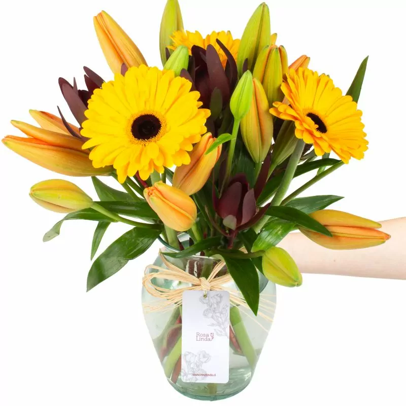 Daisy Amarillo Naranjo - Florero transparente con liliums naranjo ...