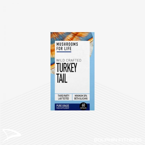 Turkey Tail Mushroom Extract