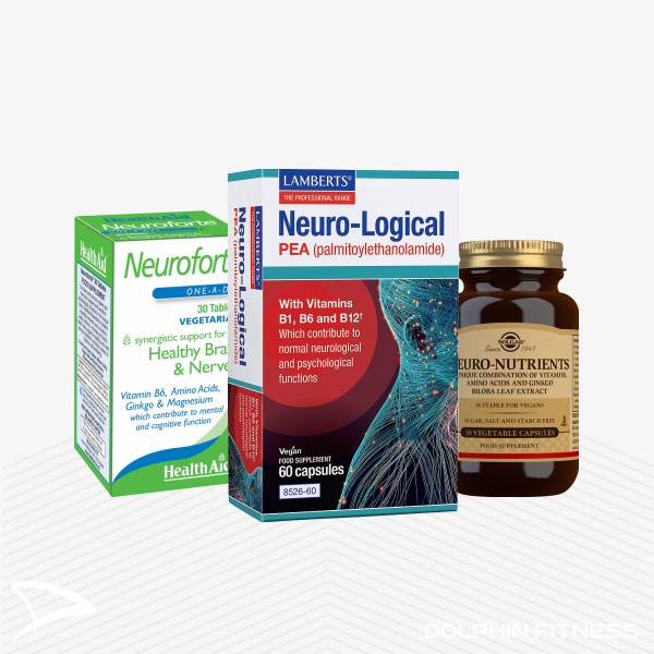 Nervous System Support