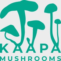 Kaapa Mushrooms