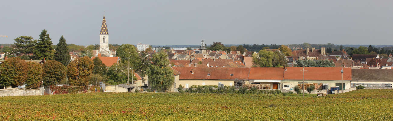 Nuits Saint Georges ⭐️ 10 Best Wineries & Vineyards to Visit ️ 2026